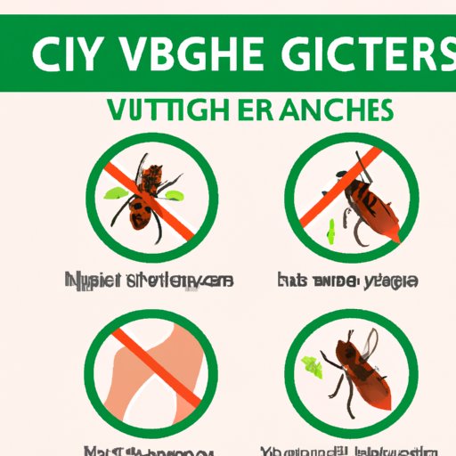 How To Get Rid Of Chigger Bites Natural Remedies Prevention Tips And Facts The Riddle Review